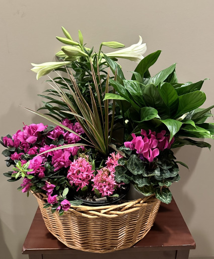 Blooming into Spring Mixed garden basket in Morris, IL - CLASSIC FLORAL ...