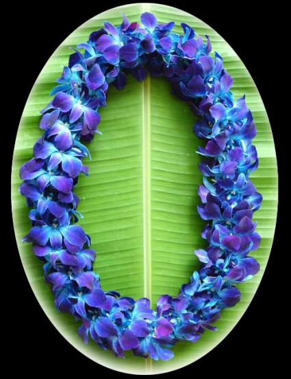 DOUBLE DYED BLUE ORCHID LEI Graduation Lei in Davis, CA - STRELITZIA ...