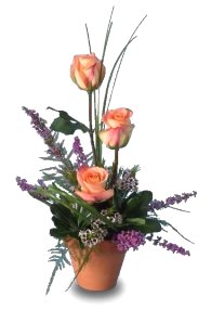 TERRA COTTA ROSE Peach Flower Pot | Just Because | Flower Shop Network