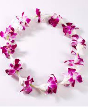 Clearwater Wedding Florist| Flower Shop Clearwater | Florist in ...