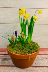 Iowa City Florist | Iowa City IA Flower Shop | Every Bloomin' Thing