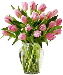 Tulip Julep Cut Flowers in Palm Beach, FL - FLOWERS OF WORTH AVENUE