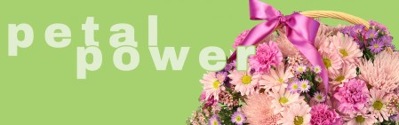 Flower Shop Hagerstown | Florist in Hagerstown, MD | TG Designs - The ...