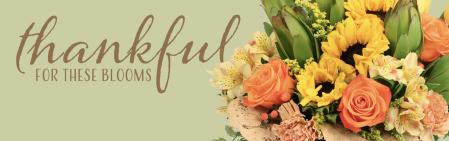 Gibsonton Florist | Gibsonton FL Flower Shop | Oops a Daisy LLC.